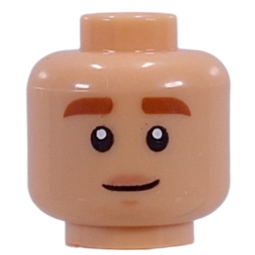 LEGO PART 28621pr9700 Minifig Head Beast, Dark Orange Eyebrows, Neutral ...