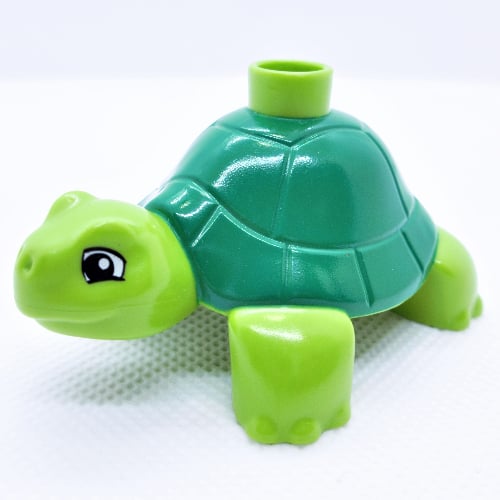 LEGO PART 11929 Duplo Animal Turtle with Green Back | Rebrickable ...
