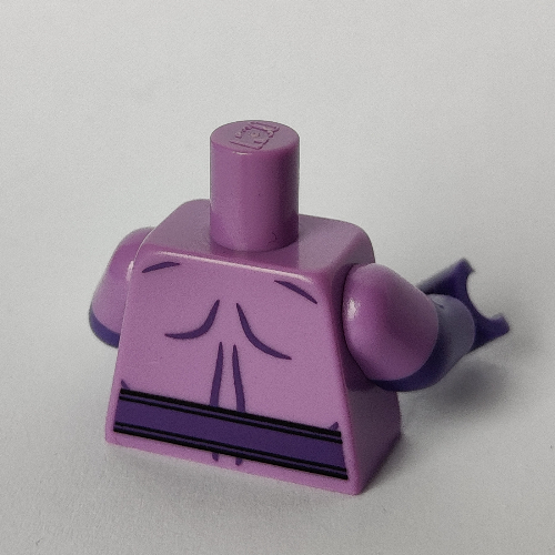 LEGO PART 973g33c09h09pr4120 Torso, Dual Molded Arms, Muscles, Wonder ...
