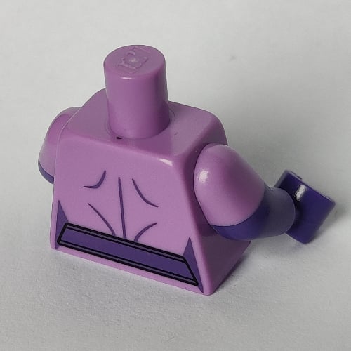 LEGO PART 973g33c09h09pr4144 Torso, Dual Molded Arms, Muscles, Wonder ...