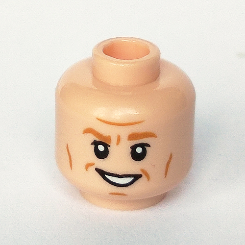LEGO PART 3626cpr3309 Minifig Head Professor Gilderoy Lockhart, Brown ...