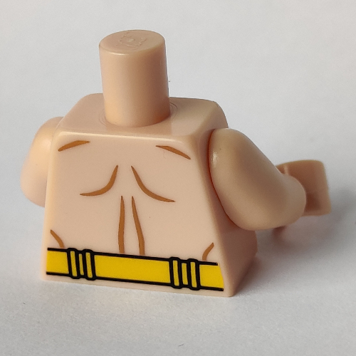 LEGO PART 973c02h02pr4068 Torso Bare Chest, Seashells, Gold Belt Print ...