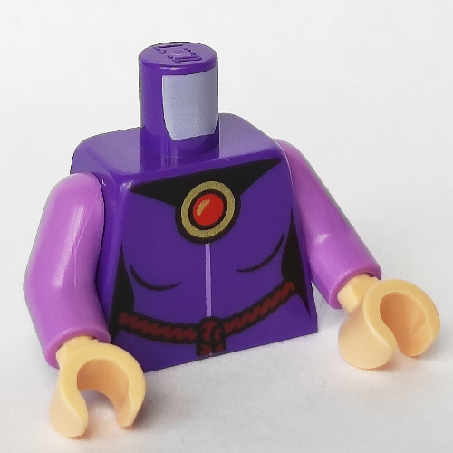 LEGO PART 973c33h02pr6538 Torso, Black Shapes, Dark Red Rope, Gold/Red ...