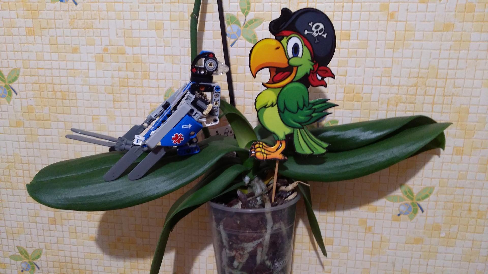 LEGO MOC 42020 Bluebird by grohl | Rebrickable - Build with LEGO