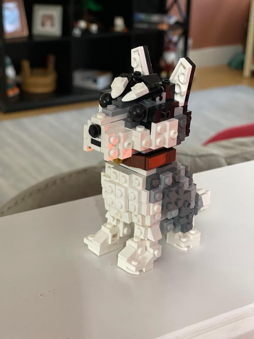 LEGO MOC Miniature Husky by nxtquy | Rebrickable - Build with LEGO