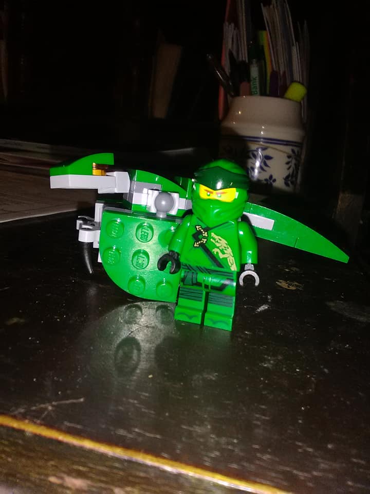 LEGO MOC 31058 Microraptor / Scientifically Accurate Velociraptor by ...